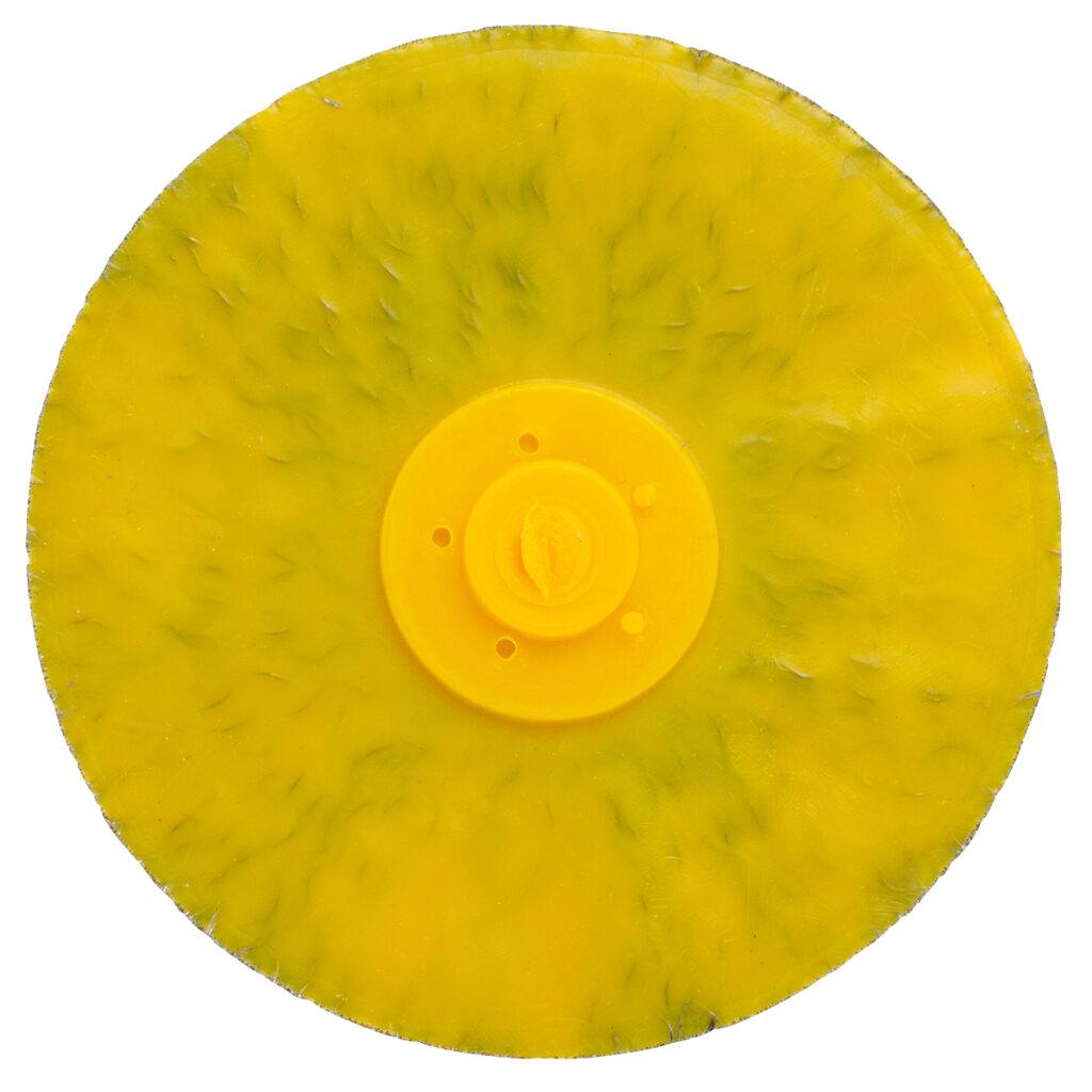 3" Plastic Encapsulated Wire Wheel on 1/4" Mandrel - Shark Industries